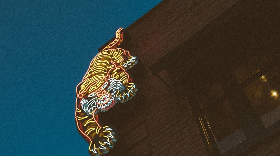 Skinny Duke's Glorious Emporium